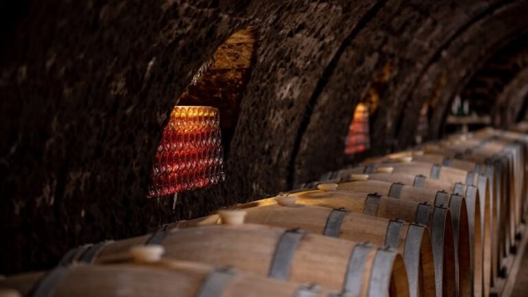 Tokaj Wine Selected Among the World’s Best in London | Diplomacy & Trade